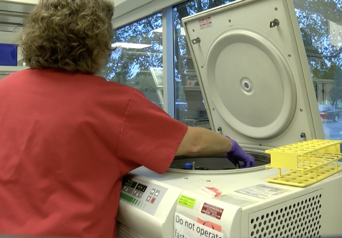 Using the Immune System to Prevent and Treat Cancer