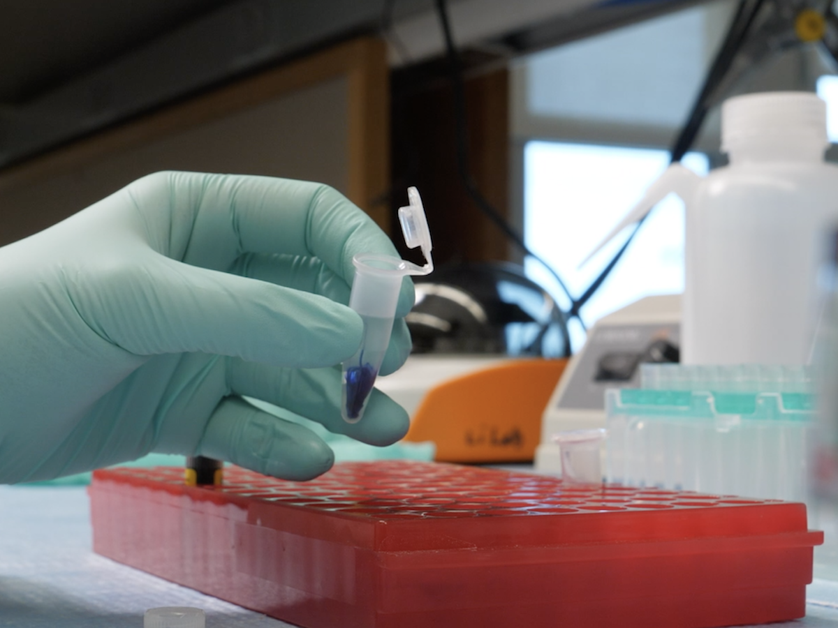 Genomics, Cancer and Personalized Vaccines