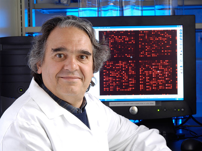 Study Reveals New Mechanism That Might Promote Cancer s Growth And ...