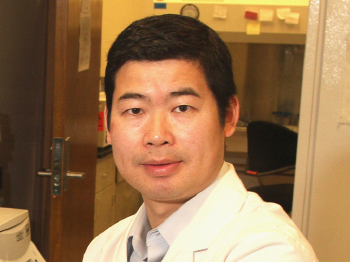 Inhibition of CDK4 Might Promote Lymphoma Development and Progression