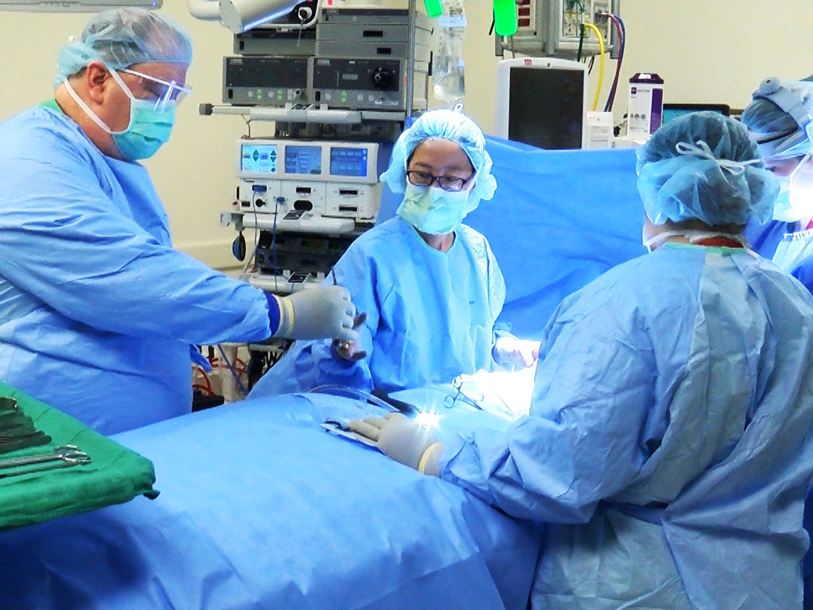 OSUCCC – James Surgical Intensive Care Unit Earns Gold Beacon Award for ...