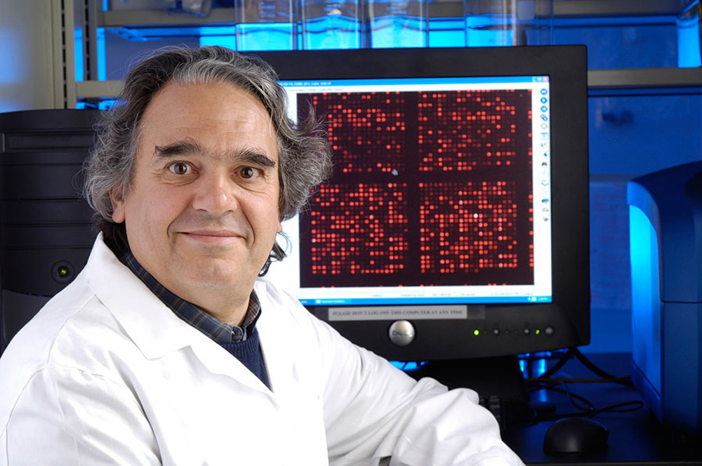 Understanding How Early Breast Tumors Become Deadly: A Small Group Of ...