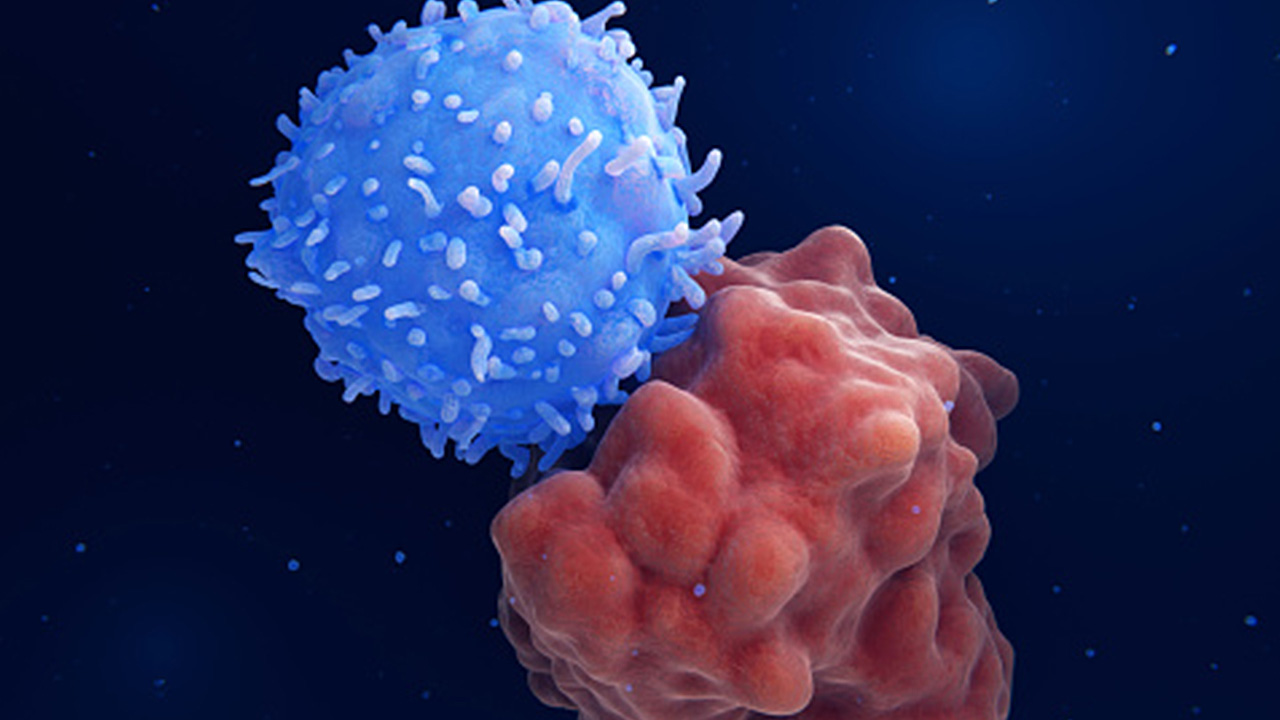 How the removal and return of cells to patients’ bodies could improve ...